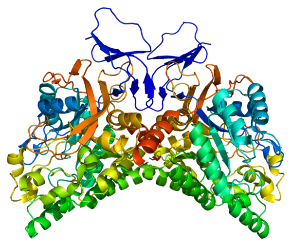 CRMP - 脳科学辞典